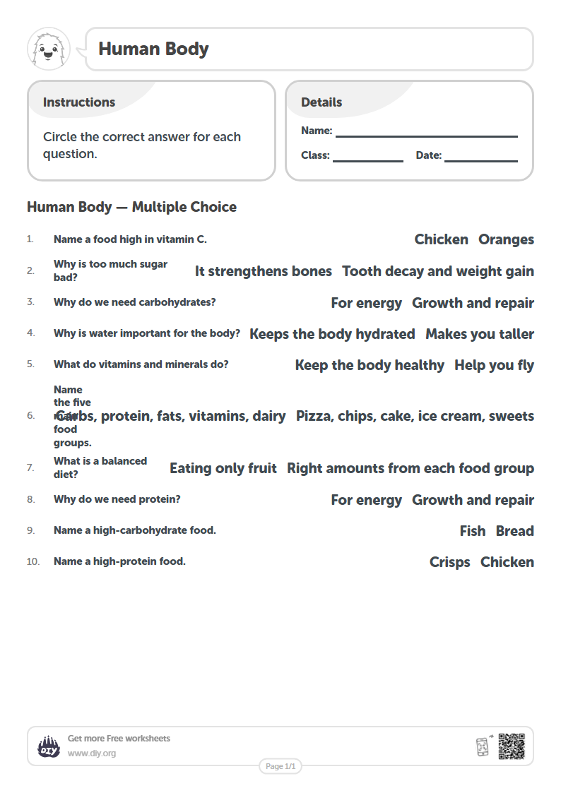 Free Human Body Worksheets
