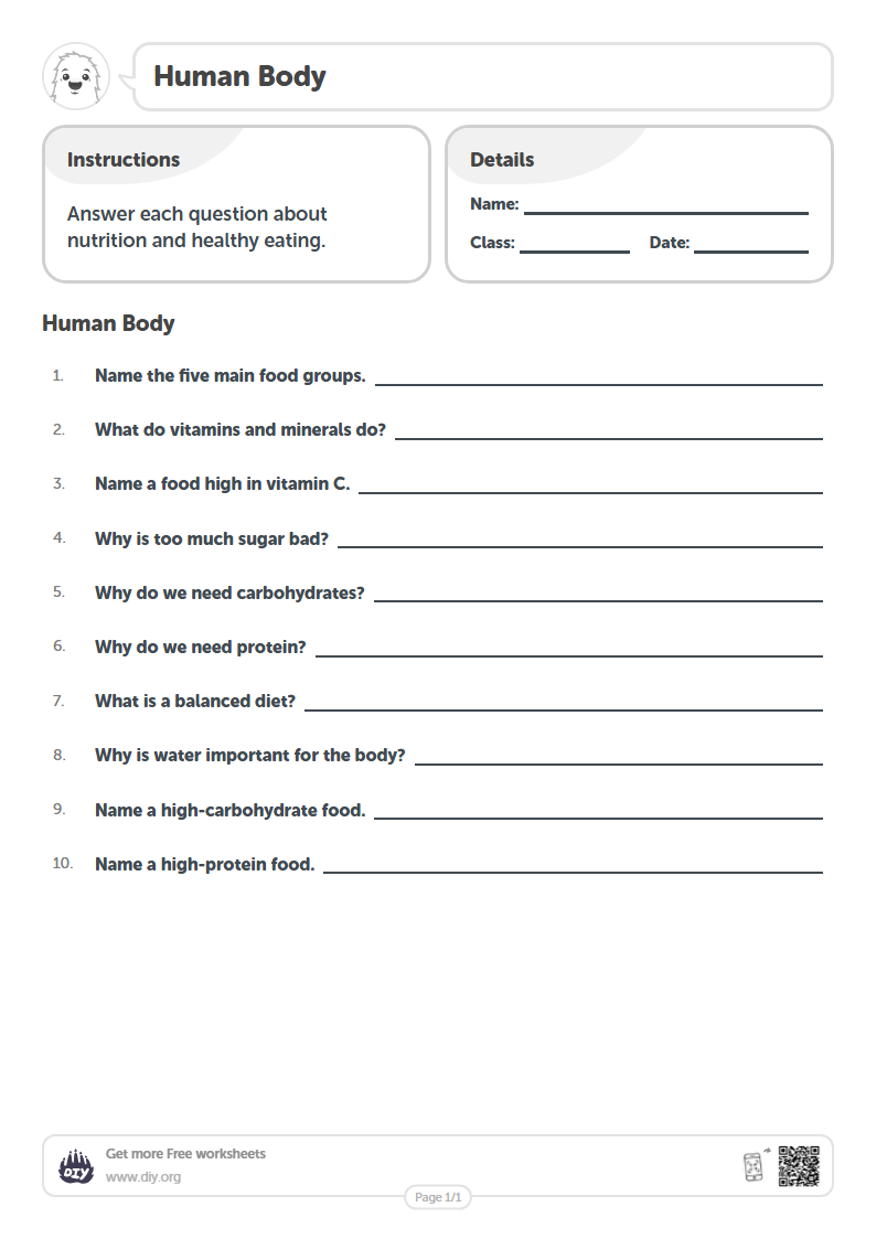 Free Human Body Worksheets